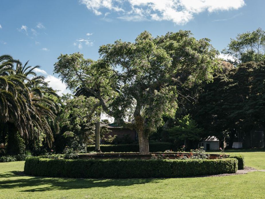 Nathan Homestead Pukepuke - Auckland Council