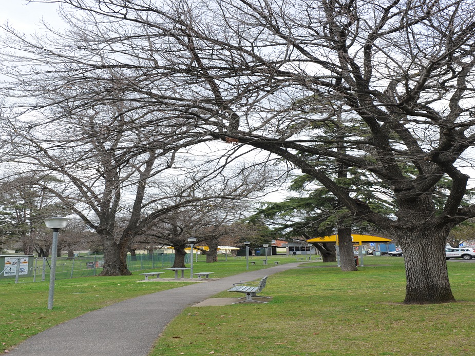 Barrack Reserve Heathcote Grass Area - City of Greater Bendigo