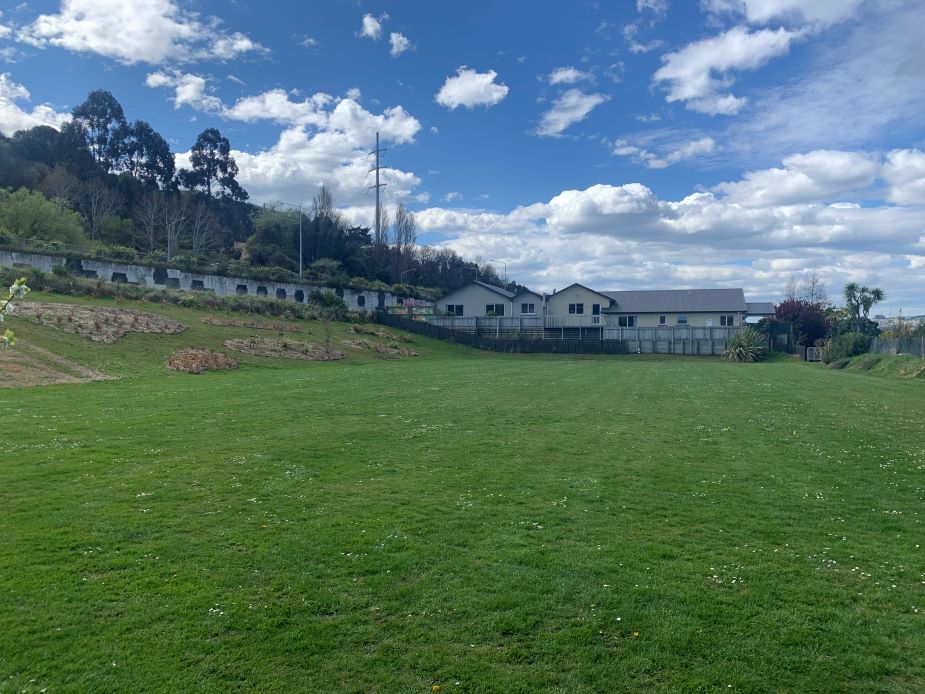 Caversham Reserve - Dunedin City Council