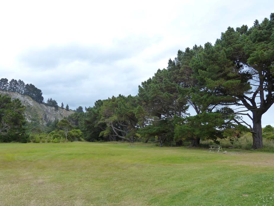 Long Beach Domain - Dunedin City Council