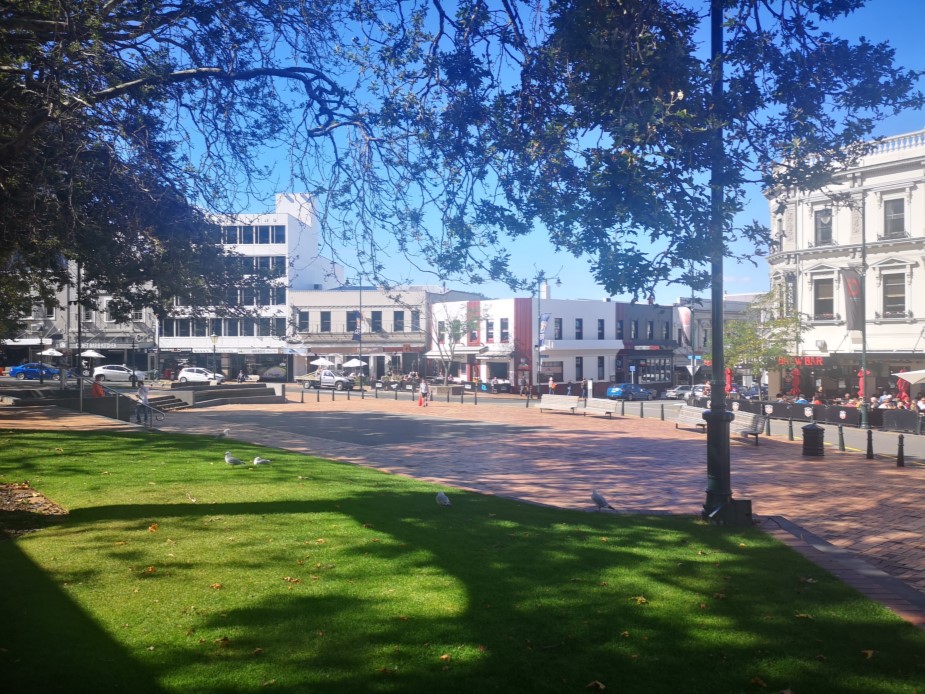 Octagon - Dunedin City Council