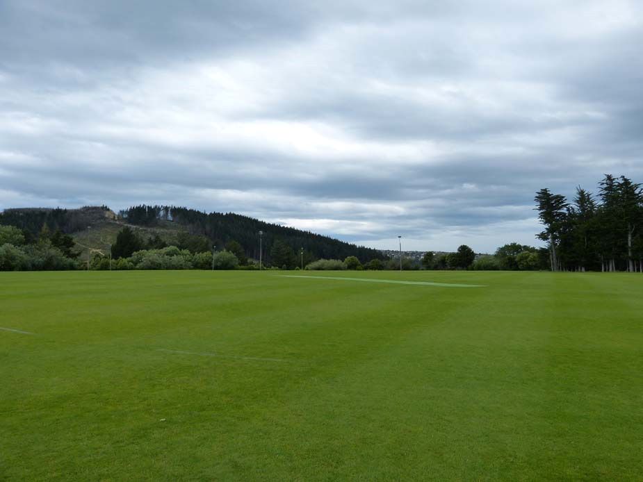Ōpoho Park - Dunedin City Council