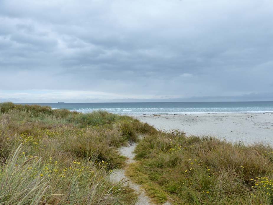 Long Beach Domain - Dunedin City Council