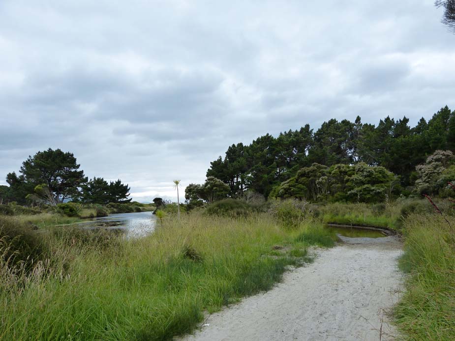 Long Beach Domain - Dunedin City Council