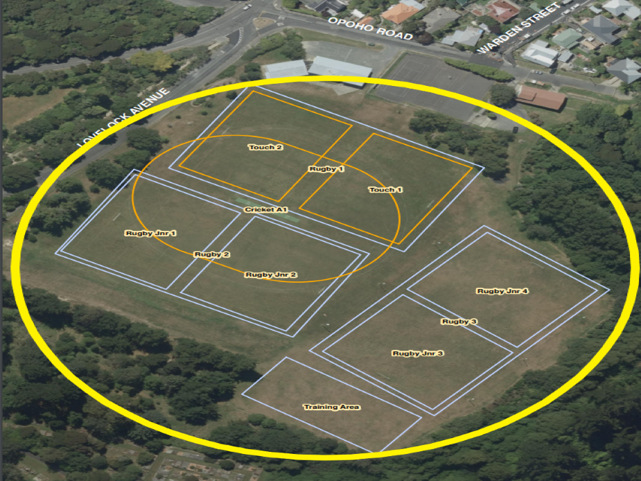 Ōpoho Park - Dunedin City Council