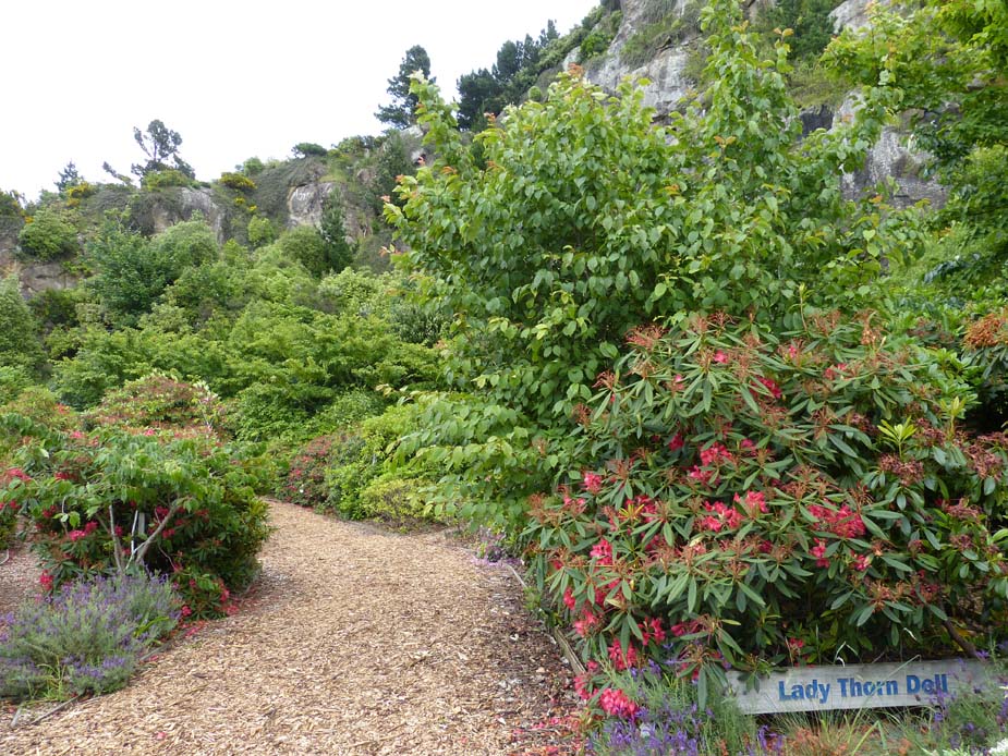Lady Thorn Dell Garden - Dunedin City Council
