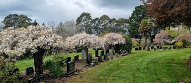 Charlton Park Cemetery - Gore District Council