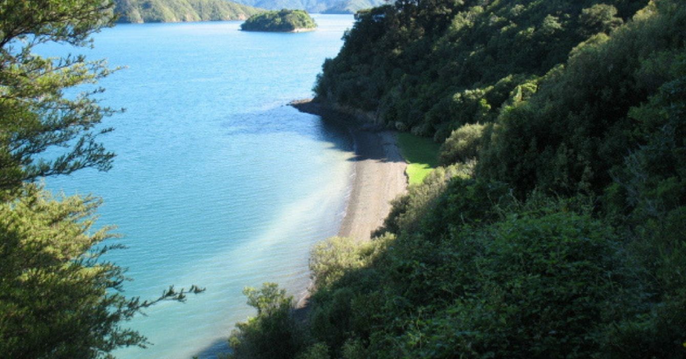 Bob's Bay Reserve - Marlborough District Council