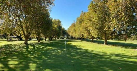 Pollard Park - Marlborough District Council