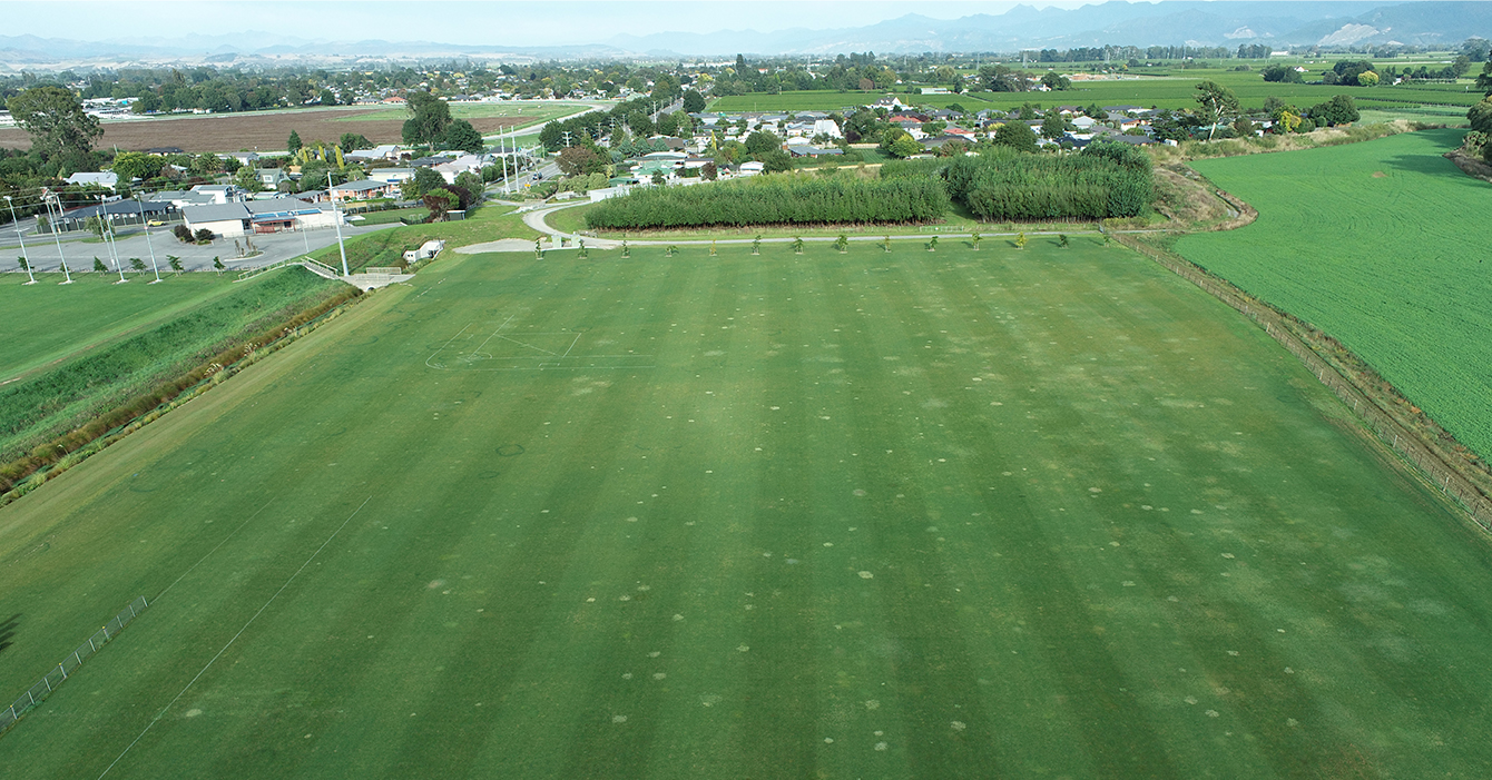 Lansdowne Park - Marlborough District Council
