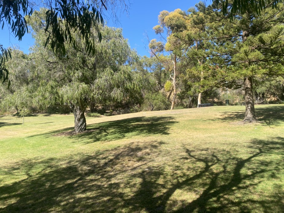 Lower Bay View Park - Town of Mosman Park