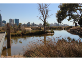 Mill Point Reserve - City of South Perth