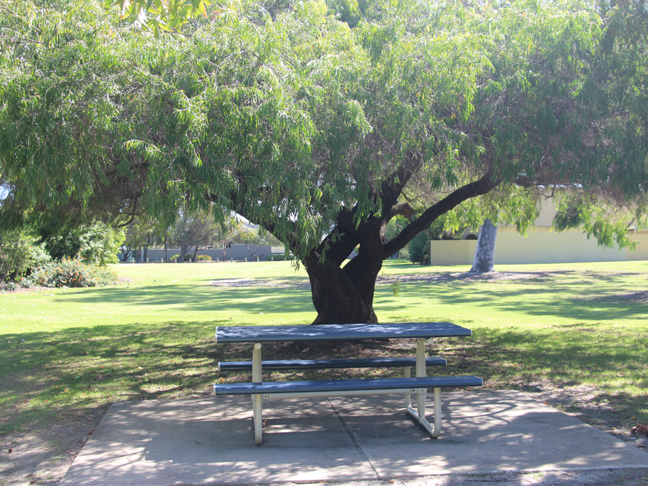 Olives Reserve - City of South Perth