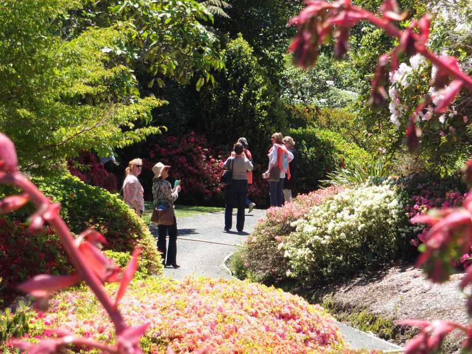 Pukeiti - Taranaki Regional Council